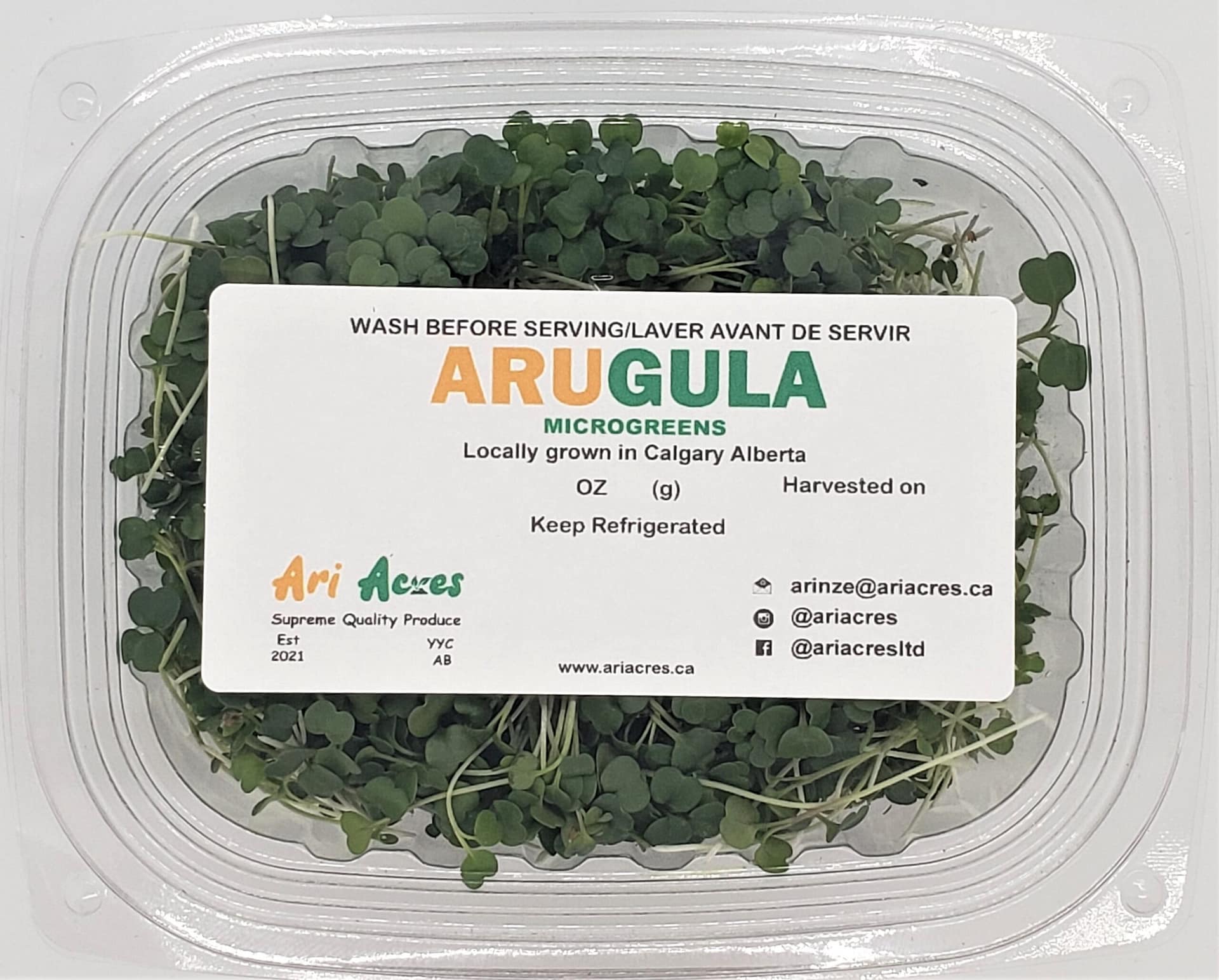 Arugula Microgreens - Ari Acres Microgreens